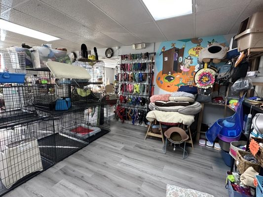 PAWS RESALE SHOPPE - Updated May 2026 - 63 Photos & 13 Reviews - 5941 ...