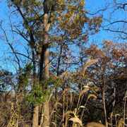 TEN CHIMNEYS - 38 Photos & 16 Reviews - S43 W31575 Depot Rd, Genesee ...