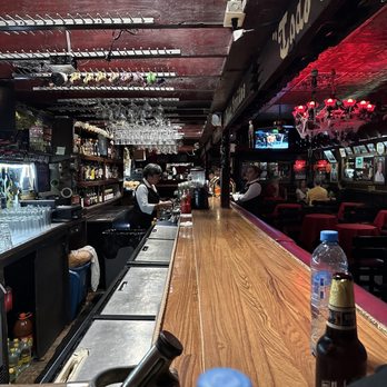 DANDY DEL SUR - Updated November 2025 - 175 Photos & 85 Reviews ...