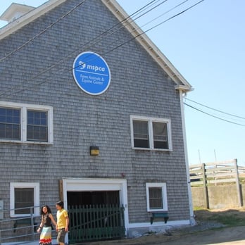 NEVINS FARM AND EQUINE CENTRE - Updated December 2025 - 38 Reviews ...