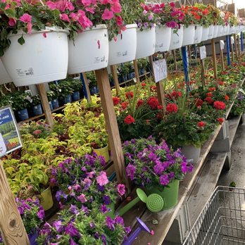 MENARDS - Updated December 2025 - 34 Photos & 24 Reviews - 2865 ...