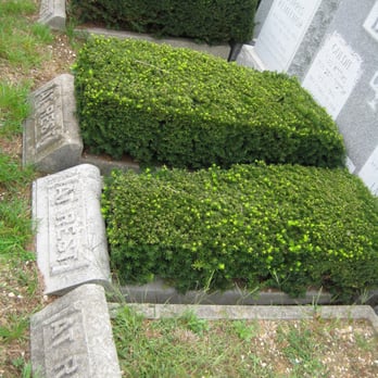 BETH MOSES CEMETERY - Updated December 2025 - 12 Photos & 19 Reviews ...