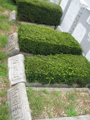 BETH MOSES CEMETERY - Updated January 2026 - 12 Photos & 19 Reviews ...