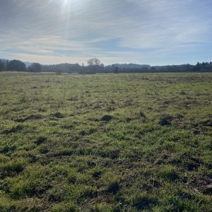 ALSTON PARK - 219 Photos & 75 Reviews - Dry Creek Rd, Napa, California ...