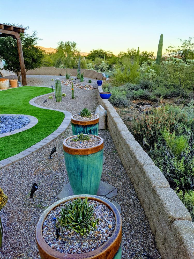 ARIZONA NATIVE LANDSCAPING - Updated January 2025 - 9051 West Avra ...