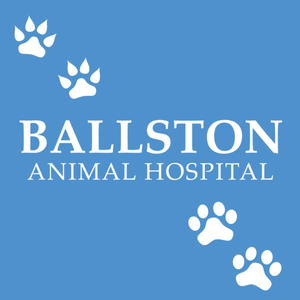 ARLINGTON ANIMAL HOSPITAL - Updated June 2025 - 33 Photos & 127 Reviews ...