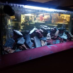 BLUE FIN SUSHI & GRILL - Updated September 2025 - 122 Photos & 206 ...