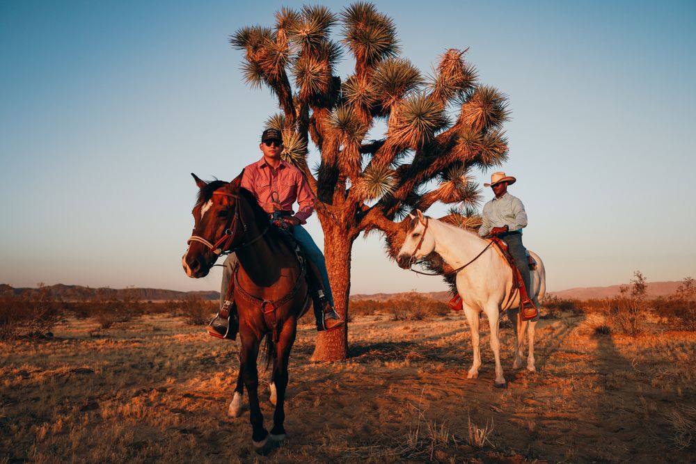 MOUNTAIN VIEW RANCH - JOSHUA TREE - Updated December 2025 - 12 Photos ...