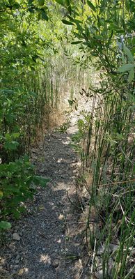 MAYBERRY PARK - 180 Photos & 43 Reviews - 121 Woodland Dr, Reno, NV - Yelp