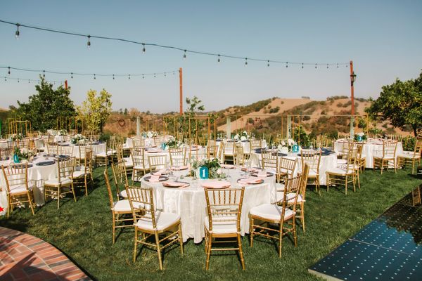 BHACHU VINEYARDS - Updated October 2025 - 98 Photos & 33 Reviews - 5272 ...