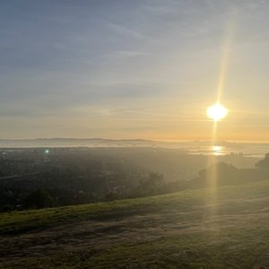 BERKELEY FIRE TRAILS - 382 Photos & 105 Reviews - Centennial Dr ...