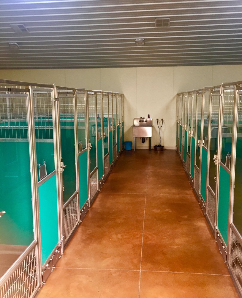 SOEHNLEN VETERINARY CLINIC - Updated January 2026 - 15 Reviews - 6315 ...