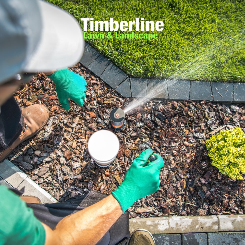 TIMBERLINE LAWN & LANDSCAPE - Updated November 2025 - 38 Photos & 18 ...