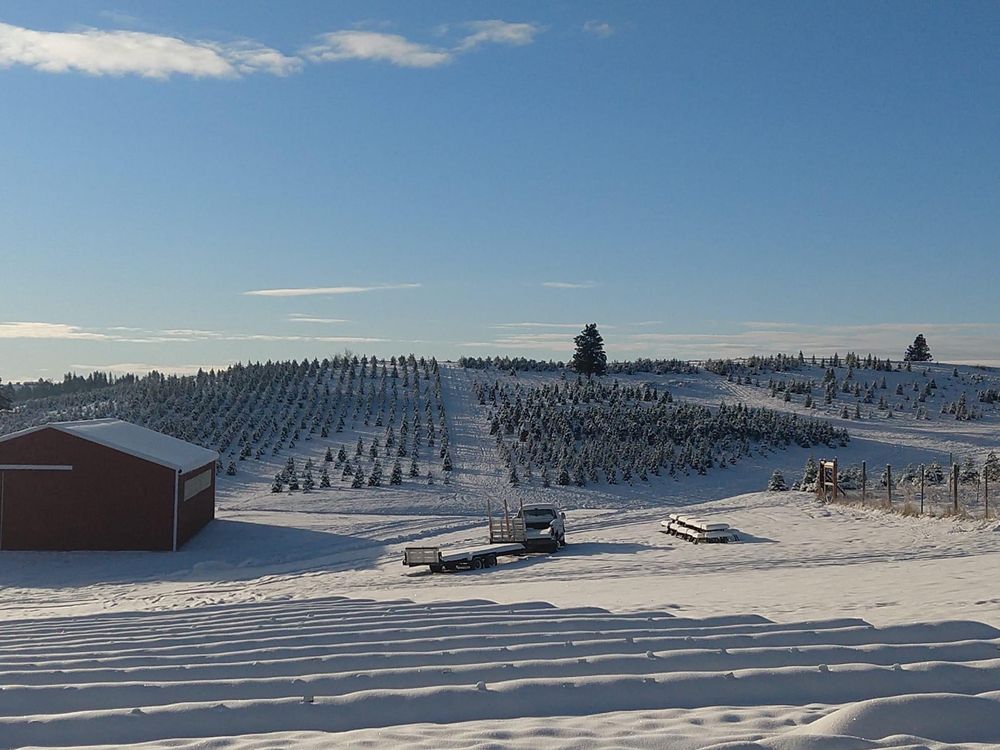 SPRING VALLEY TREE FARM - Updated July 2025 - 1039 Spring Valley Rd ...