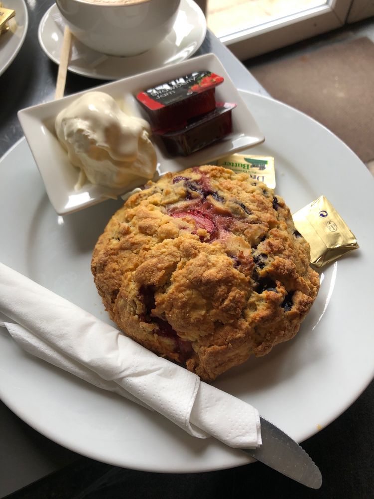 THE COFFEE TREE - Updated November 2024 - 49 Strand Road, Derry, United ...