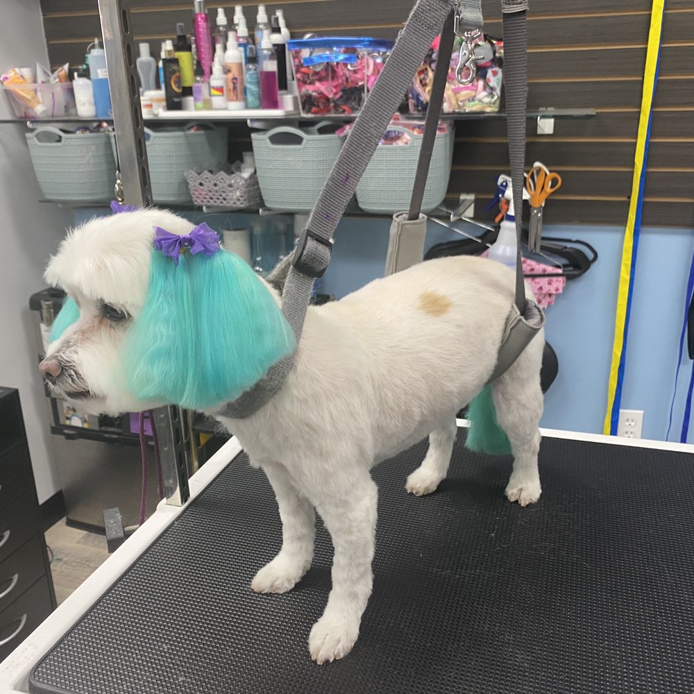 MY DOG’S SPAW - 69 Photos & 17 Reviews - 2743 Hamner Ave, Norco ...