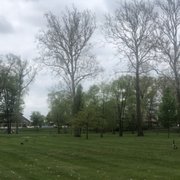 DODGE PARK - 452 Photos & 42 Reviews - 40620 Utica Rd, Sterling Heights ...