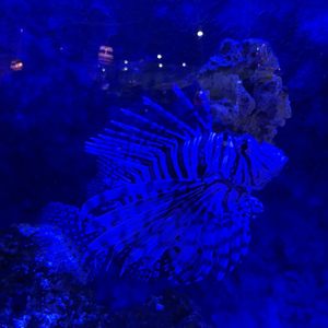 FLOATING SEA AQUATICS - 158 Photos & 23 Reviews - 8661 Old Kings Rd S ...