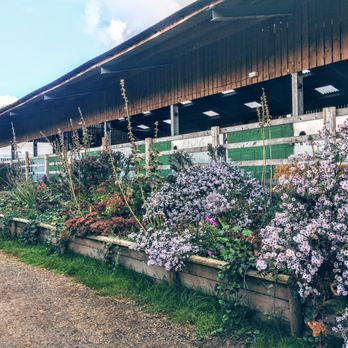 BOCKETTS FARM PARK - Updated October 2025 - 16 Photos & 12 Reviews ...