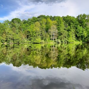 BROAD RUN PARK - Updated May 2025 - 759 Photos & 76 Reviews - 10800 ...