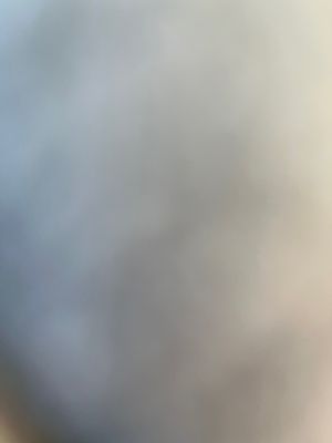 FUNZ TRAMPOLINE PARK - Updated August 2024 - 84 Photos & 11 Reviews ...