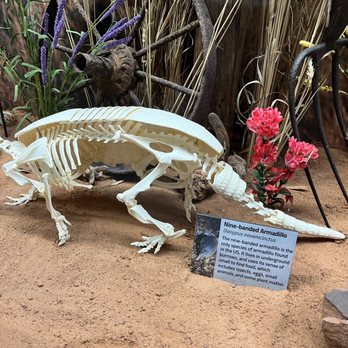 SKELETONS MUSEUM OF OSTEOLOGY - Updated August 2024 - 522 Photos & 149 ...