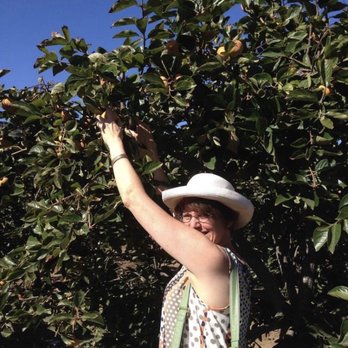 BAR 2 RANCH - Updated May 2025 - 68 Photos & 36 Reviews - 14797 Hwy 76 ...