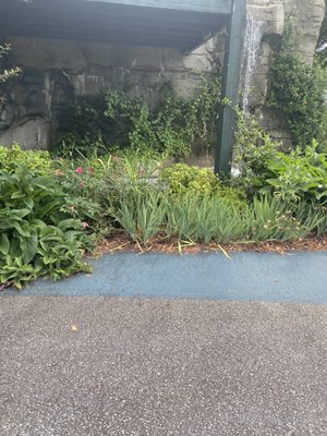 COLONEL LUDLOW BED & BREAKFAST INN - Updated September 2025 - 434 ...