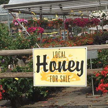 SECOR FARMS - Updated July 2025 - 238 Photos & 80 Reviews - 168 Airmont ...