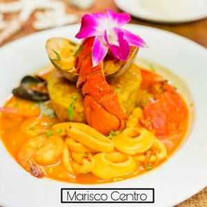 ZEPPIERI & SONS BAKERY - 85 Photos & 112 Reviews - Bakeries - 3004 ...