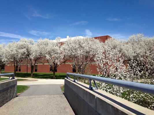 MACOMB COMMUNITY COLLEGE - Updated November 2025 - 44 Photos & 31 ...