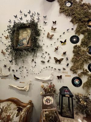 THE INSECT ASYLUM - Updated January 2025 - 26 Photos & 11 Reviews (4.9 ...