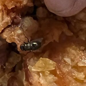 K’S BENTO-YA - 215 Photos & 193 Reviews - 94-164 Awalau St, Waipahu, HI ...