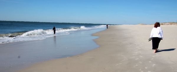 OVERLOOK BEACH - Updated May 2024 - 31 Photos & 14 Reviews - Ocean Pkwy ...