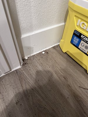 ZRS MANAGEMENT - Updated January 2026 - 100 Photos & 59 Reviews - 2001 ...