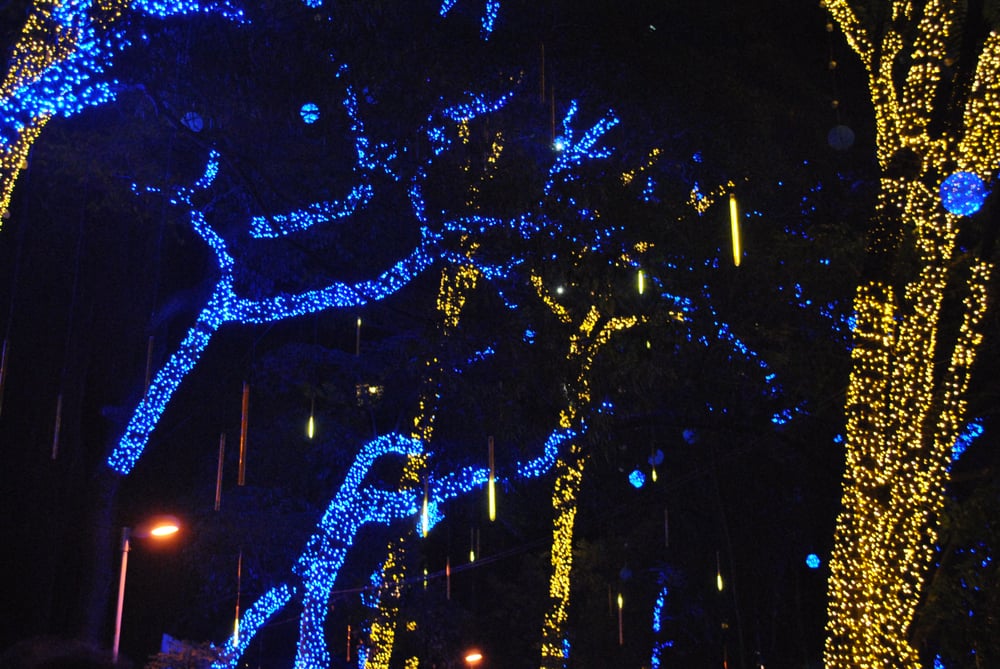 TENENTE SIQUEIRA CAMPOS PARQUE - TRIANON - Updated December 2025 - 42 ...