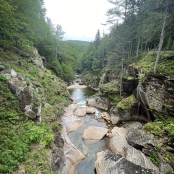 Are Dogs Allowed In Franconia Notch State Park
