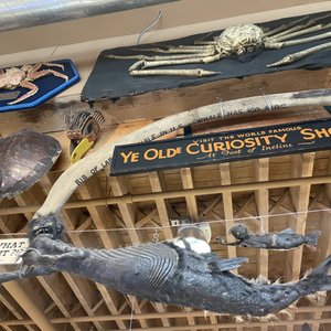 YE OLDE CURIOSITY SHOP - 373 Photos & 212 Reviews - 1001 Alaskan Way ...