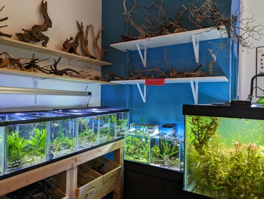 THE FISH BARN - Updated December 2025 - 39 Photos & 55 Reviews - 19 ...