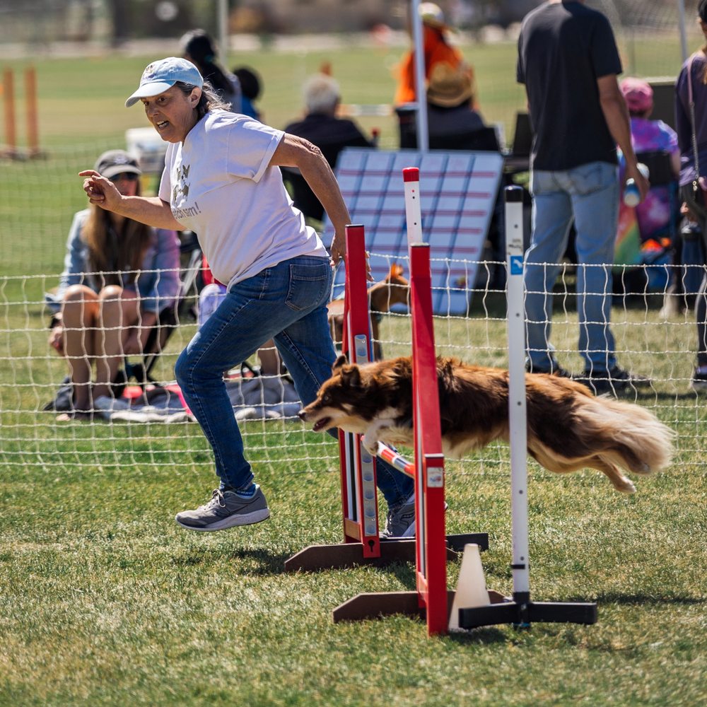 FETCH SAM! - Updated October 2025 - 2060 N Commercial Ave, Pasco ...