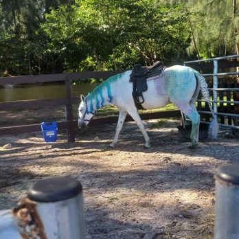 DAVIE RANCH - Updated January 2026 - 140 Photos & 45 Verified Reviews ...