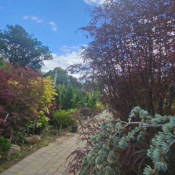 DREYER FARMS - Updated January 2026 - 82 Photos & 71 Reviews - 831 ...