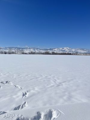 COOT LAKE OPEN SPACE - Updated September 2025 - 44 Photos & 28 Reviews ...