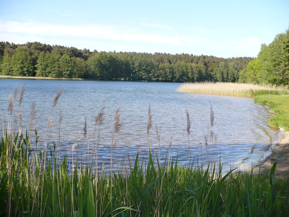 ROOFENSEE - Menz, Brandenburg, Germany - Lakes - Yelp