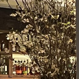 AVRA 48TH STREET - Updated April 2025 - 942 Photos & 1098 Reviews - 141 ...