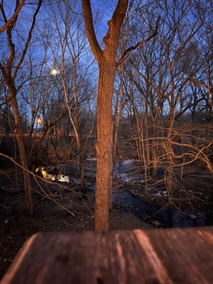 SASSAFRAS SPRINGS VINEYARD - Updated October 2025 - 114 Photos & 65 ...