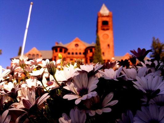 PRESTON CASTLE - 255 Photos & 83 Reviews - Museums - 900 Palm Dr, Ione ...