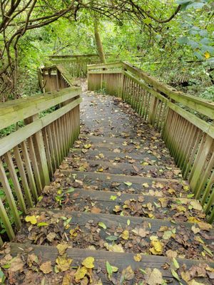 AMBERLEIGH NEIGHBORHOOD PARK - 4797 Carrigan Ridge Dr, Dublin, OH - Yelp