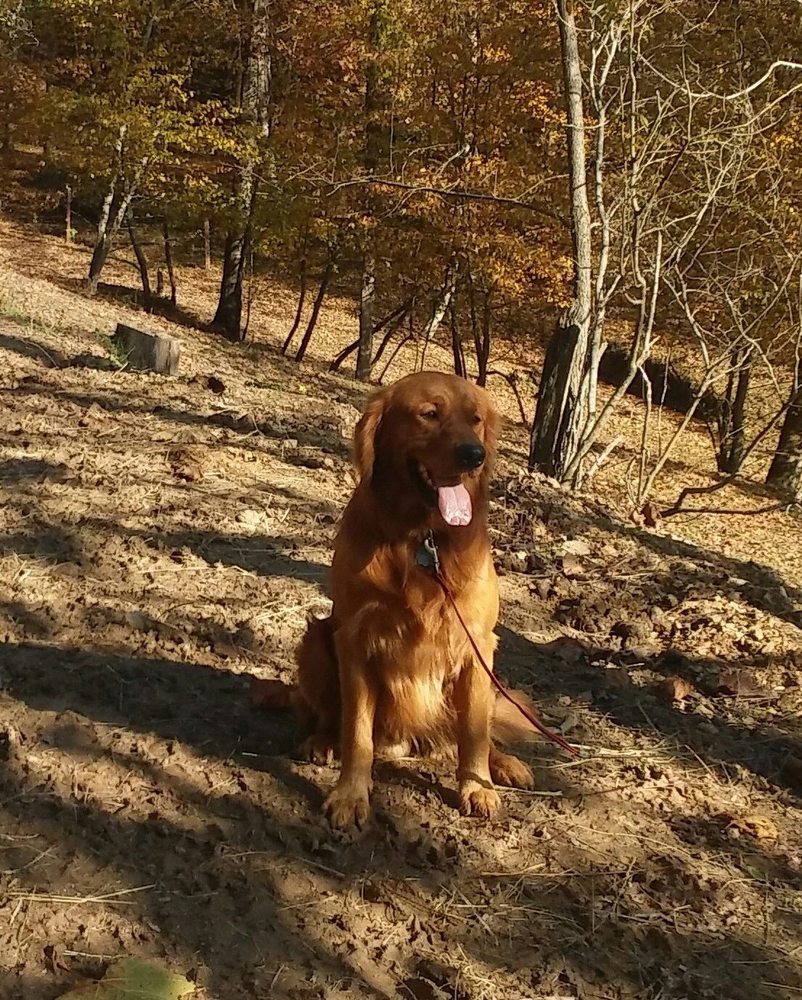 VALLEY RUN FARM - Updated January 2026 - 8861 Wills Creek Rd, Elkview ...