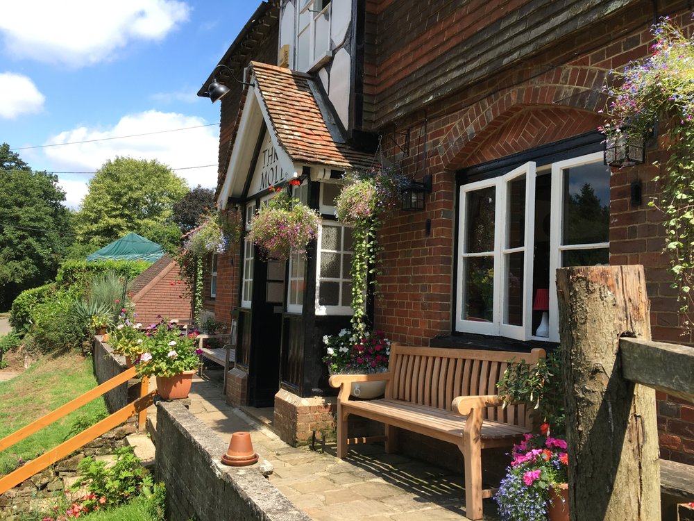 THE THREE MOLES - 17 Photos - Selham Road, Petworth, West Sussex ...